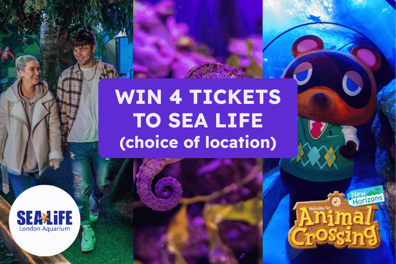 SEA LIFE UK Competition: Win 4 Tickets | Purpl Disabled Discounts